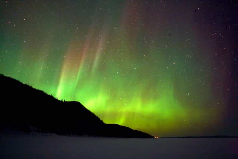 Tromsø Northern Lights Safari with MS Gabriele | GetYourGuide