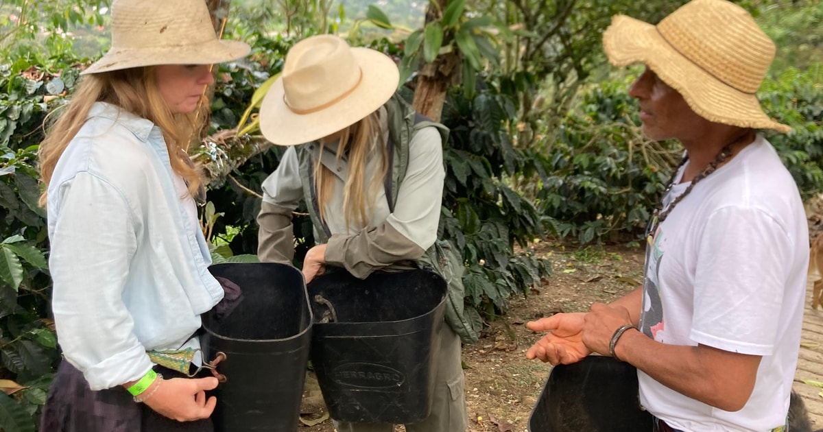 Bogotá: Tour privado del café en Silvania - Finca cafetera | GetYourGuide
