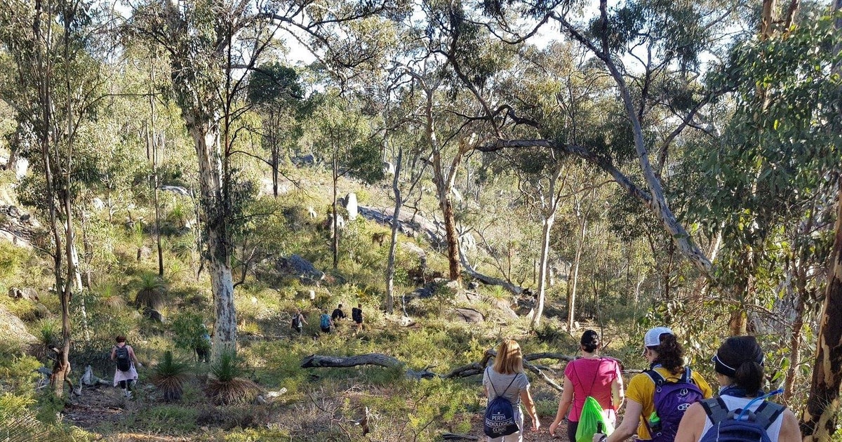Perth: Piesse Brook Endurance Hike | GetYourGuide