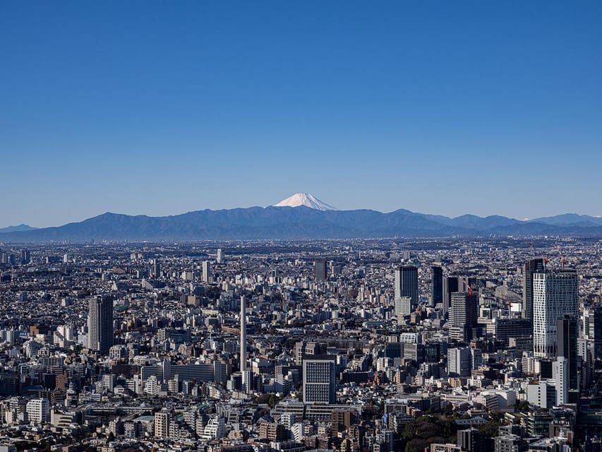 Tokyo: Roppongi Hills Observatory Ticket | GetYourGuide