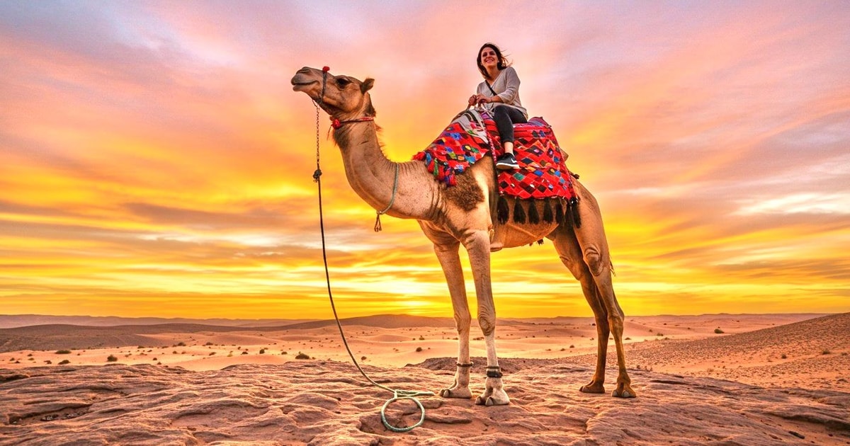 Marrakech: Activiteiten in de Agafay-woestijn met diner en shows ...