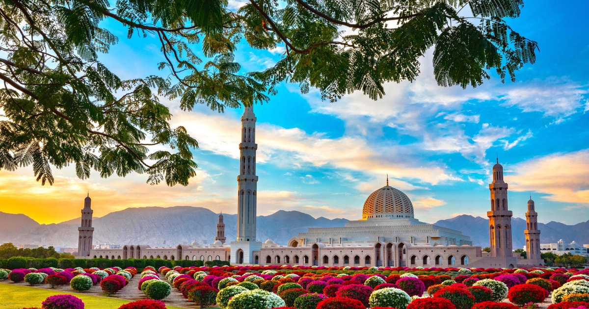 Muscat: Day Tour with Omani Lunch, Hotel Pickup, and Airfare | GetYourGuide