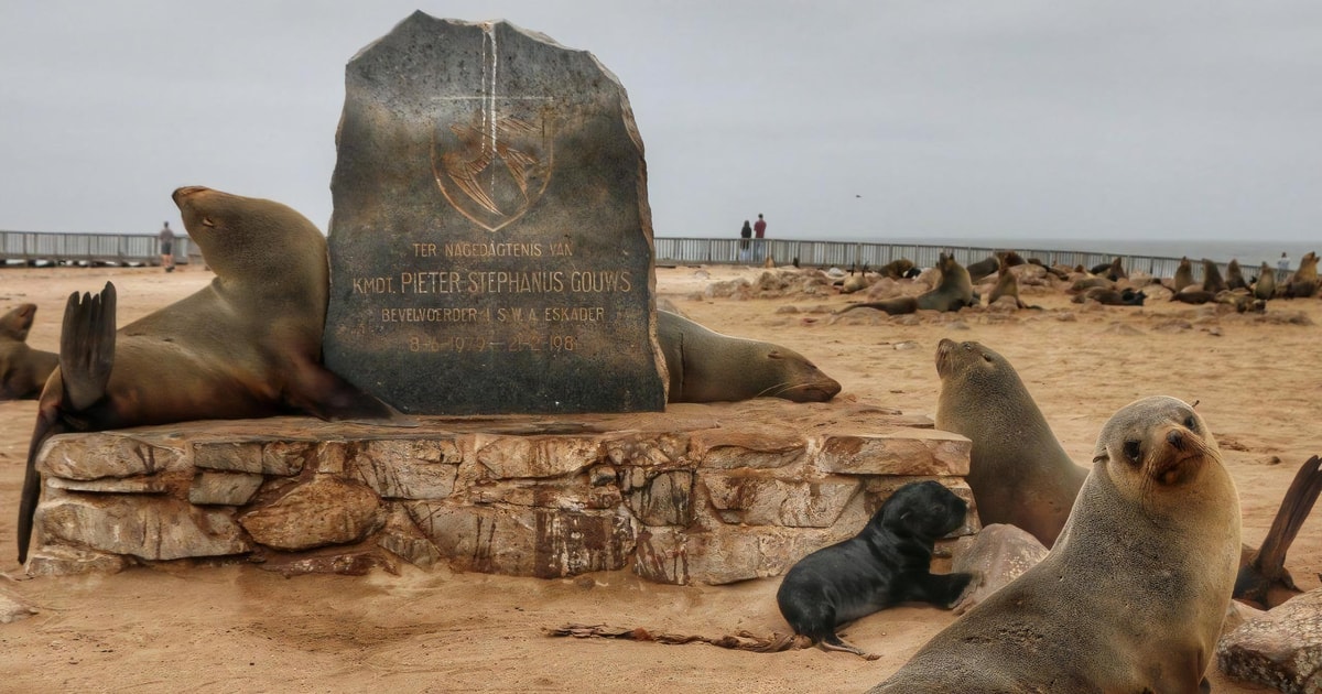 Skeleton Coast: Tour guidato di Cape Cross e Henties Bay | GetYourGuide
