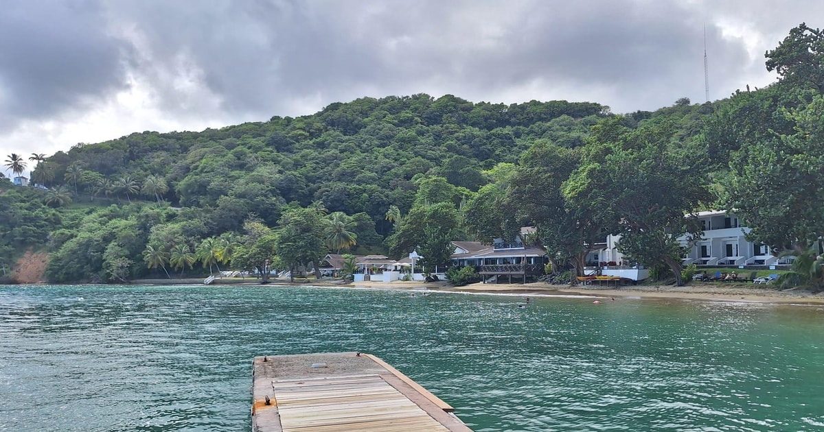 The Little Tobago Tour | GetYourGuide