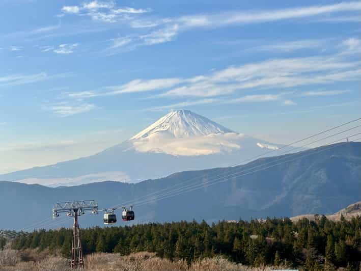 Tokyo: Hakone Onsen-opplevelse med helligdom og Ashi-sjøen | GetYourGuide