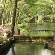 Exploring Sintra to the Westernmost Point: The Complete Tour | GetYourGuide