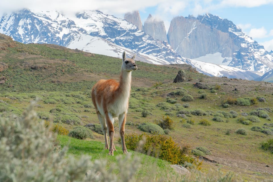 W Trekking | GetYourGuide