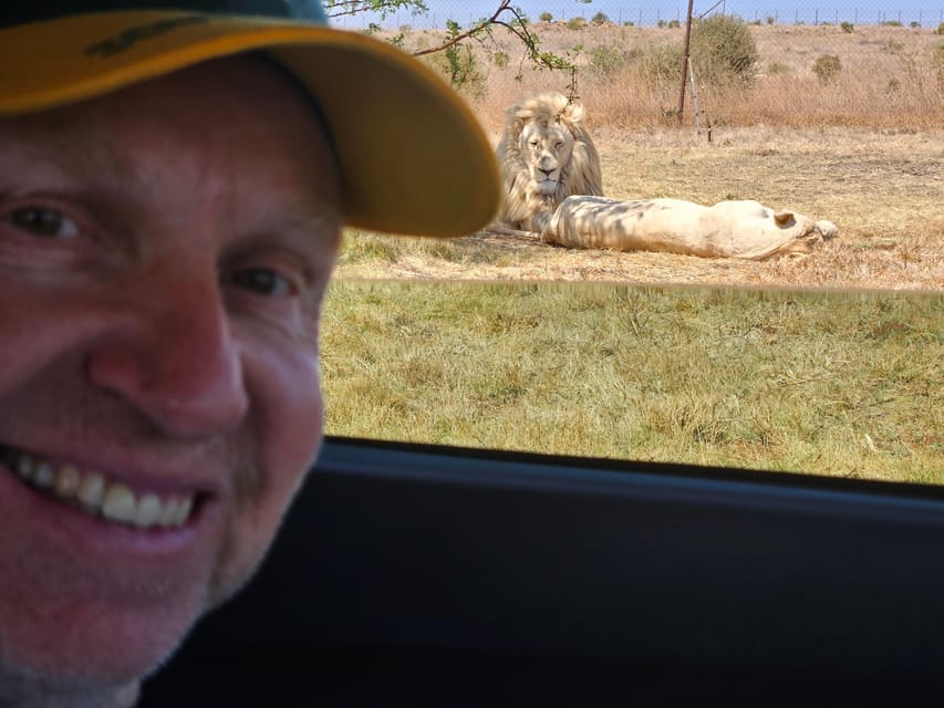 Safari at Lion and Rhino Park / Lesedi Culture Village | GetYourGuide