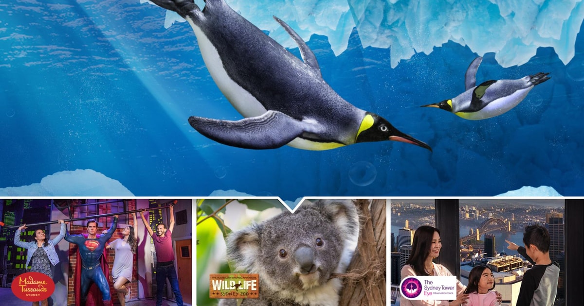 Sydney: Ultimate Citykort til 5 attraktioner med Skywalk | GetYourGuide