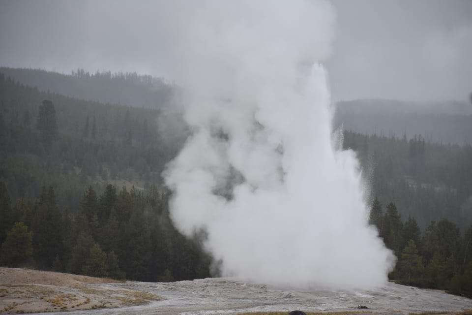 Yellowstone Private Day Tours: From West Yellowstone Montana | GetYourGuide