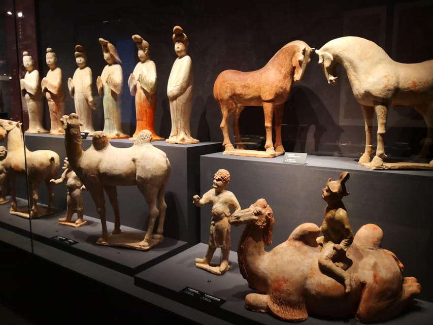 History Study to Terracotta Army &Shaanxi Archaeology Museum | GetYourGuide