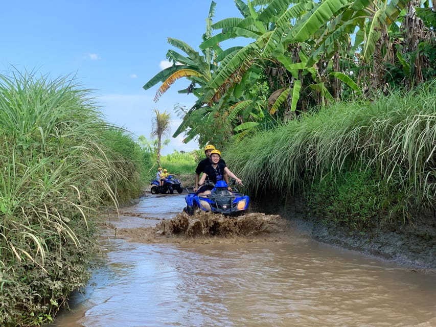 Ubud Atv Adventure guide tour & jungle swing | GetYourGuide