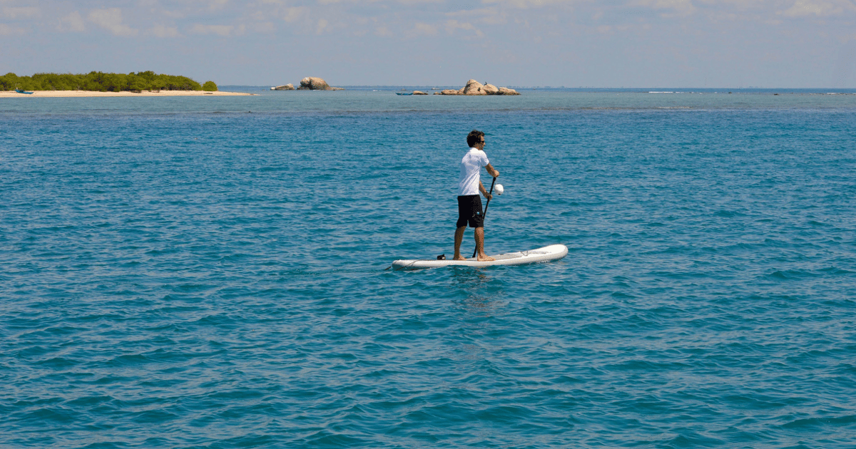 Exploring the Eastern Coast: A Week of Beaches and Reefs | GetYourGuide