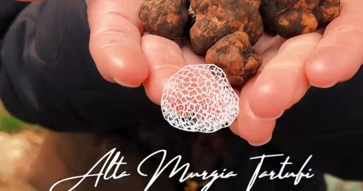 Chasse aux truffes avec dégustation dans la Haute Murgia | GetYourGuide