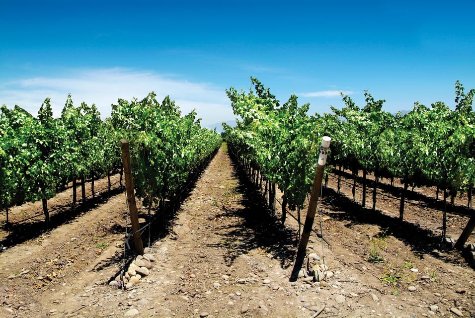 Full-Day Tour to Isla Negra, Algarrobo & Undurraga Winery | GetYourGuide