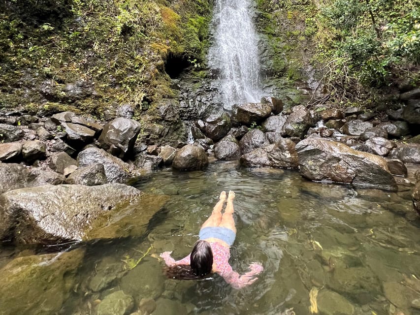 Hike - Dip in the Waterfall, Rainforest Trails (Pick up) | GetYourGuide