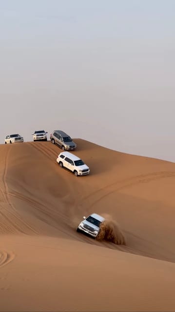 Safari por el desierto de Doha: Dune Bashing, Paseo en Camello, Mar ...