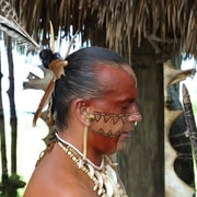 Kissimmee: Jororo Village 'Evolution Of The Weapon' Show | GetYourGuide