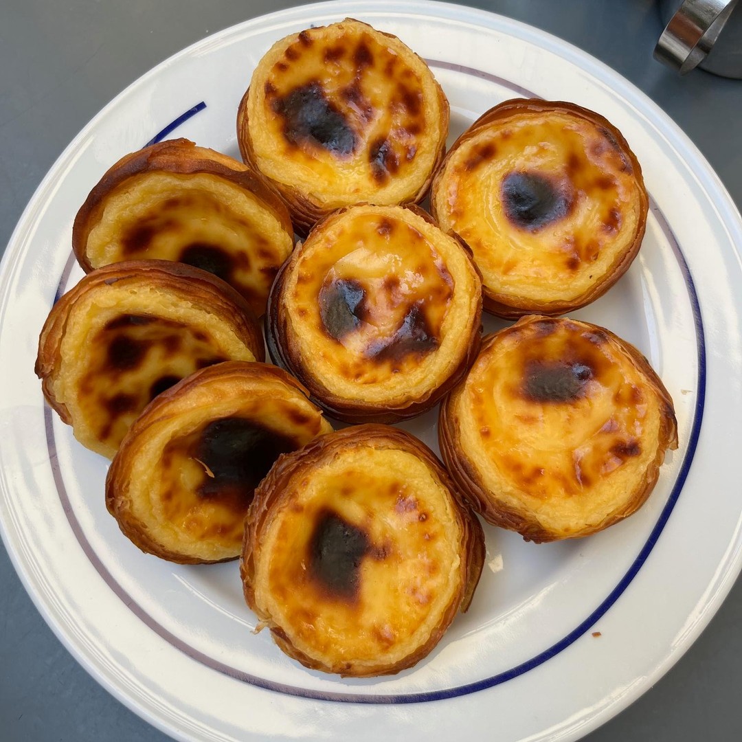 Lisbona: segui il coccodrillo in missione segreta - tour privato ...