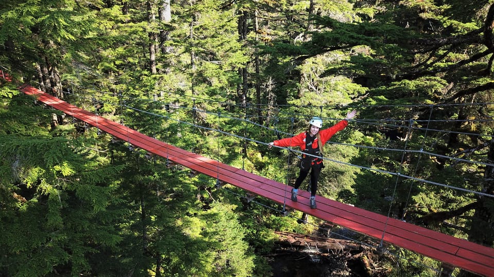Juneau: Alpine Zipline Adventure | GetYourGuide
