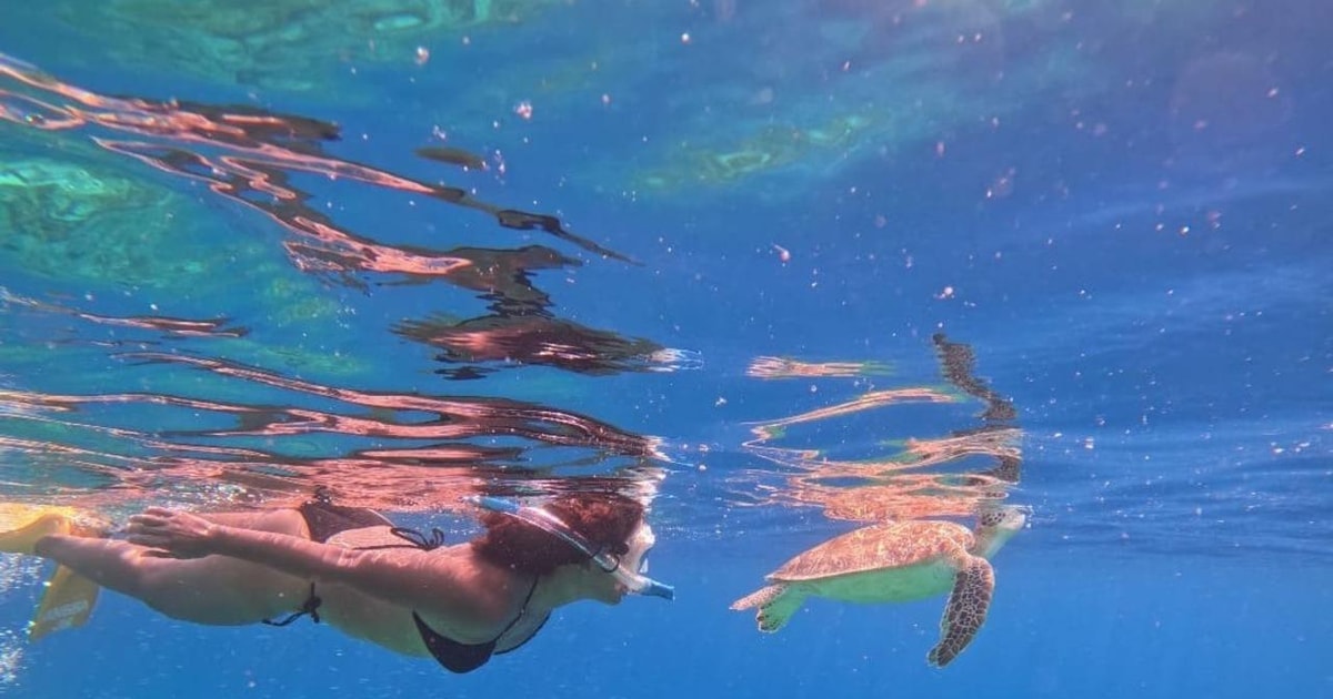 Gili Trawangan : Snorkeling Swimming with Turtle & Statue | GetYourGuide