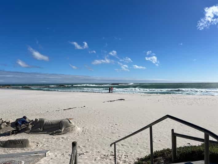 Full-Day Private Cape Town’s Most Beautiful Beaches Tour | GetYourGuide