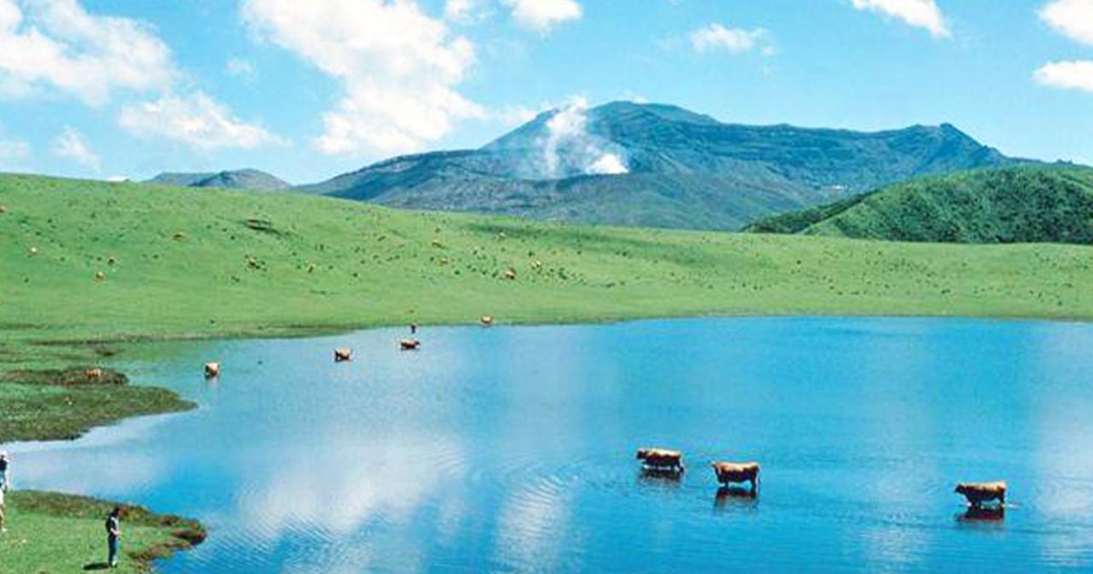 Kyushu: Mt. Aso Volcano, Onsen, and Aso Shrine Full-Day Trip | GetYourGuide