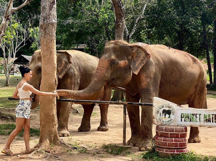 Phuket Elephant Nature Reserve - Ethical elephant sanctuary | GetYourGuide
