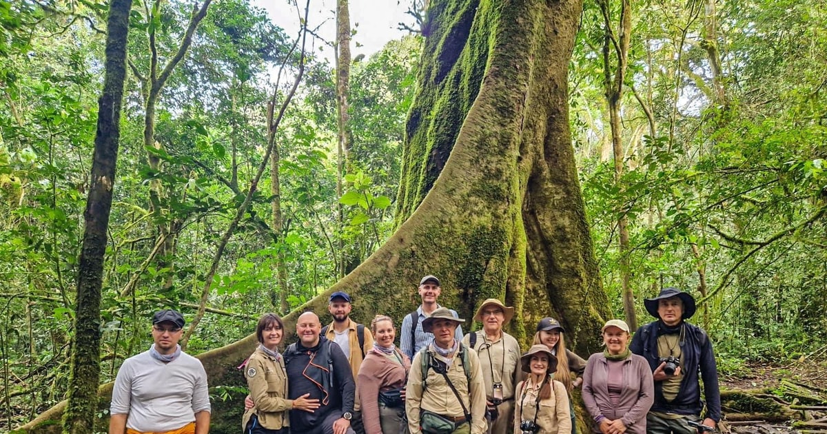 5 Day Uganda Trip; Bwindi, Lake Bunyonyi &Queen Elizabeth Np | GetYourGuide