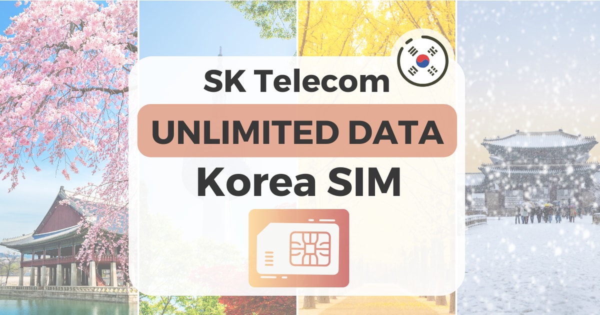 仁川空港：SKT LTEデータ無制限+音声通話付き韓国SIM | GetYourGuide