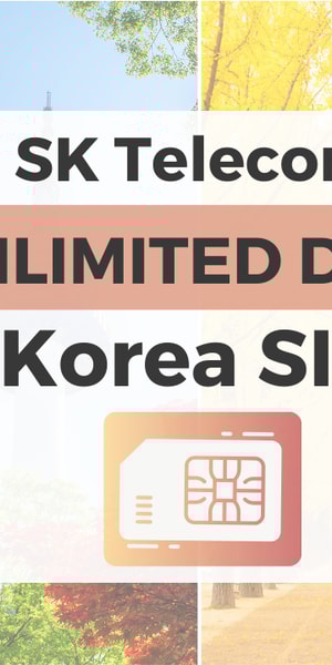 Incheon Airport: Korea SIM with SKT 4G Unlimited Data | GetYourGuide