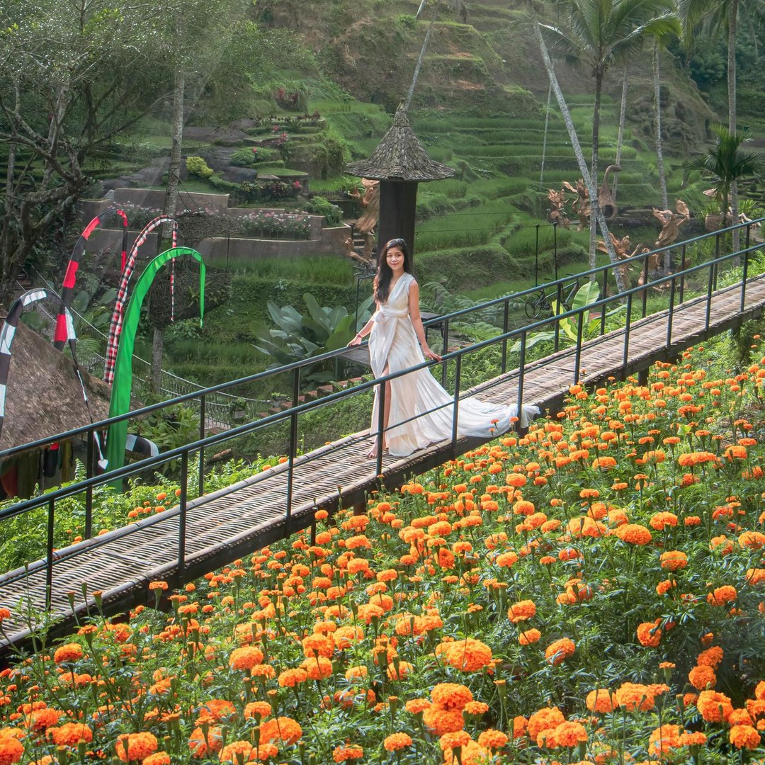 Ubud: Alas Harum Day-Pass, Swing, Sky Bike & Flying Fox | GetYourGuide