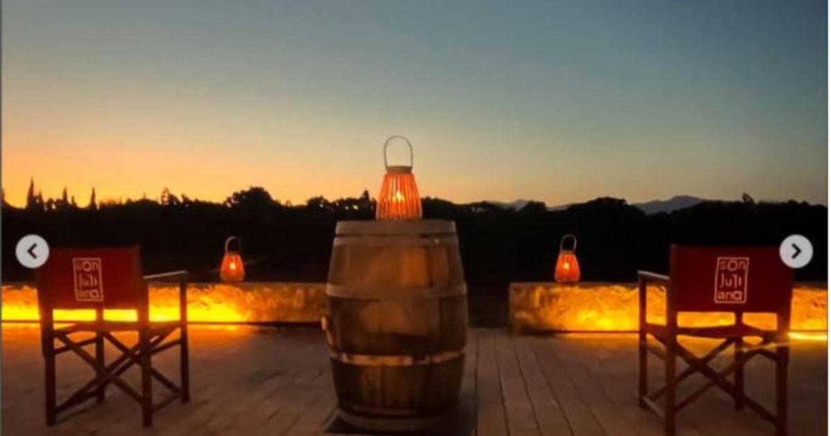Mallorca: Sunset Wine Tasting Minibus Bodega Tour | GetYourGuide