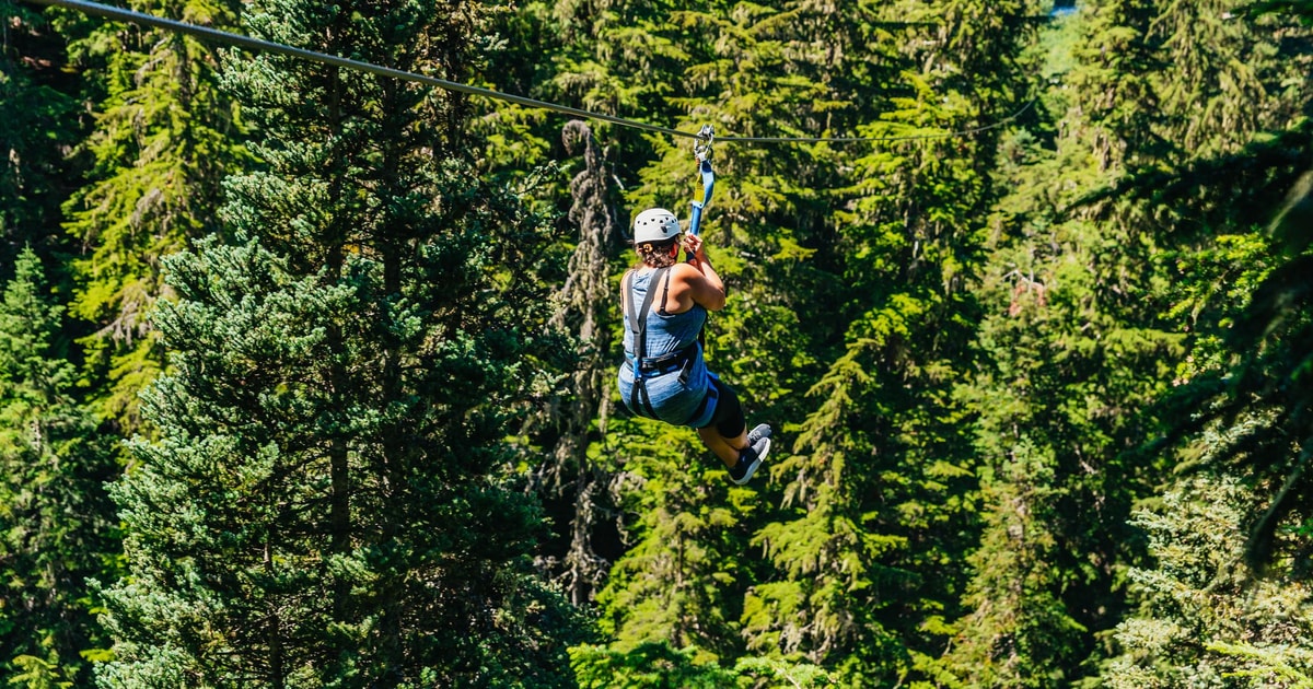 Whistler: Ziplining Experience | GetYourGuide