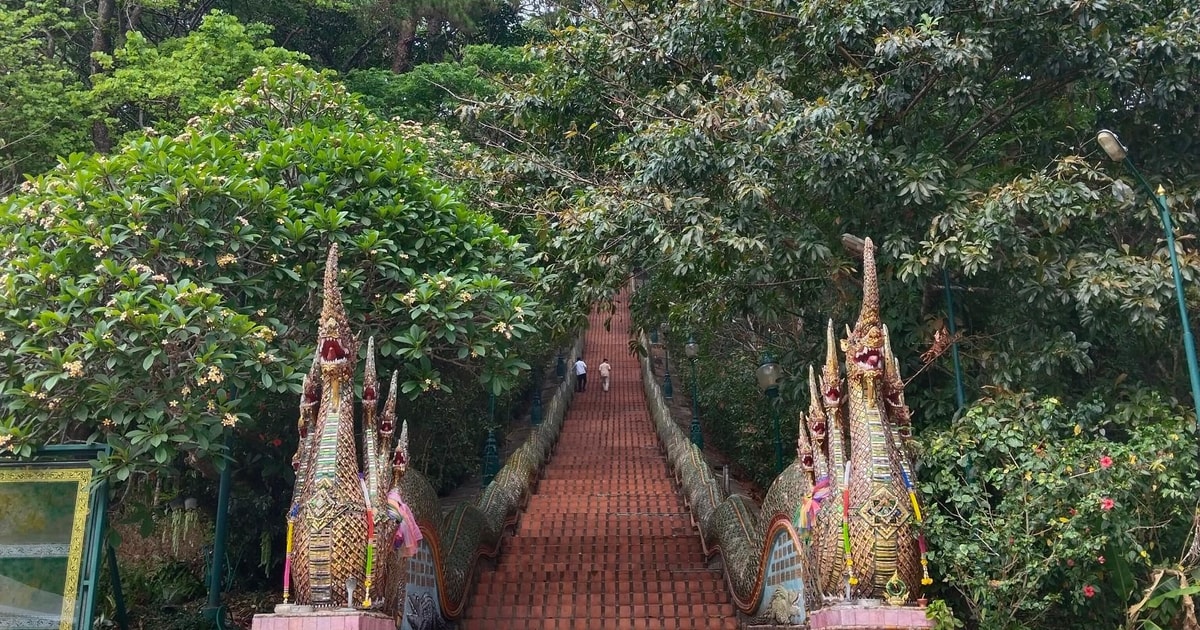 Chiangmai Summit Hike in Doi Suthep-Pui National Park | GetYourGuide