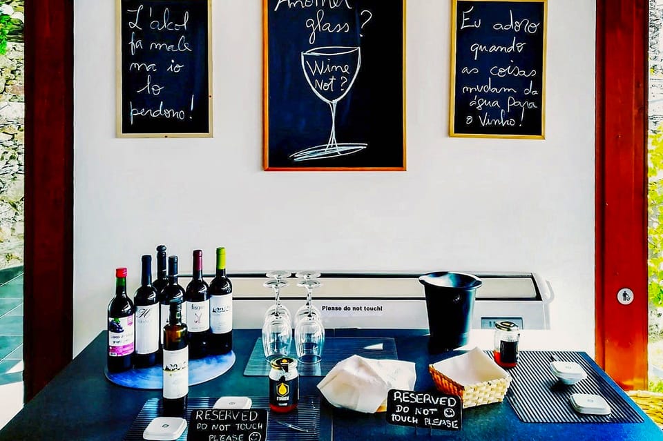 From Porto: Douro Valley Small Group Food and Wine Tour | GetYourGuide