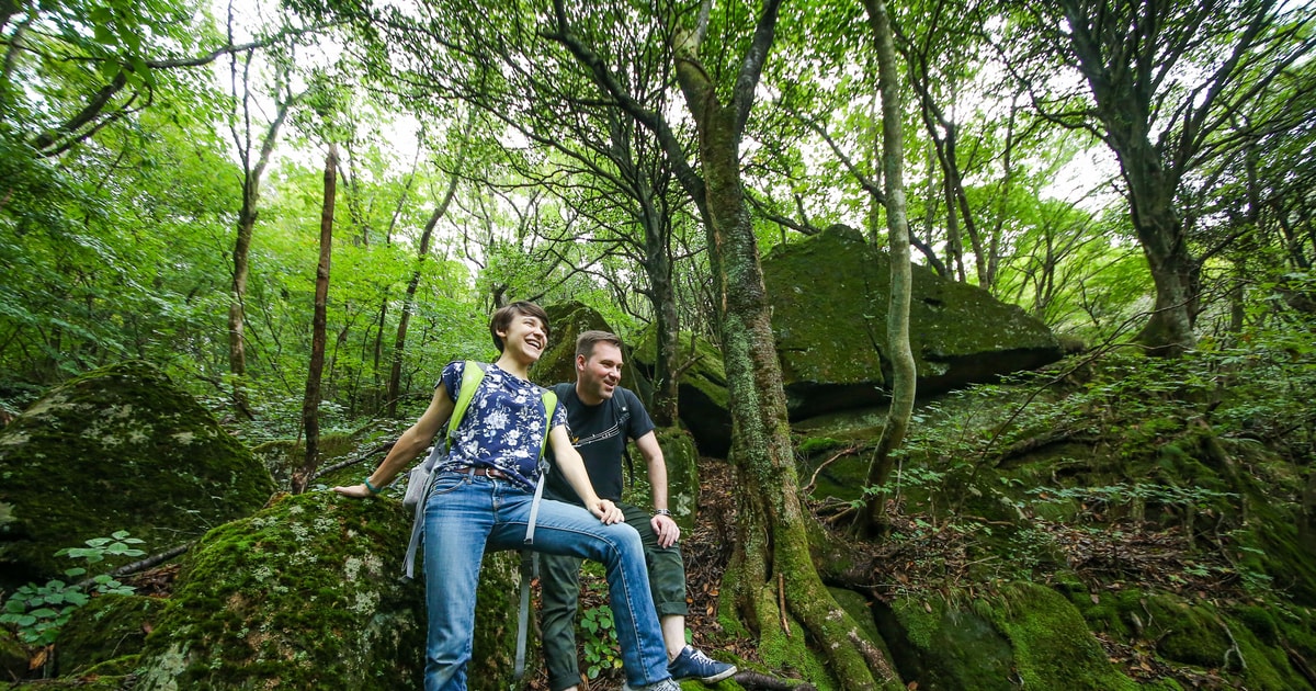 Hiroshima: Subida al monte Omine y vista panorámica con café | GetYourGuide