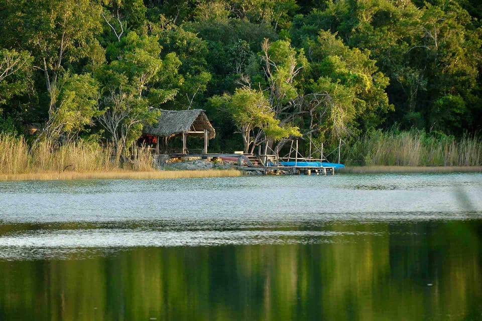 Full Day Tour to Cobá Ruins, Punta Laguna & Cenote | GetYourGuide