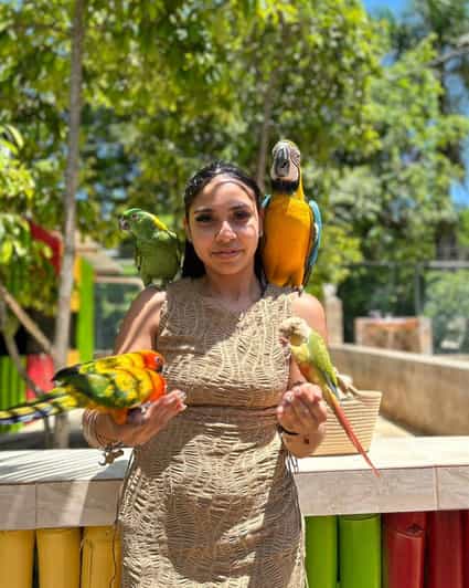 D Boss Farm, Bamboo Rafting and Limestone Foot Massage Tour | GetYourGuide