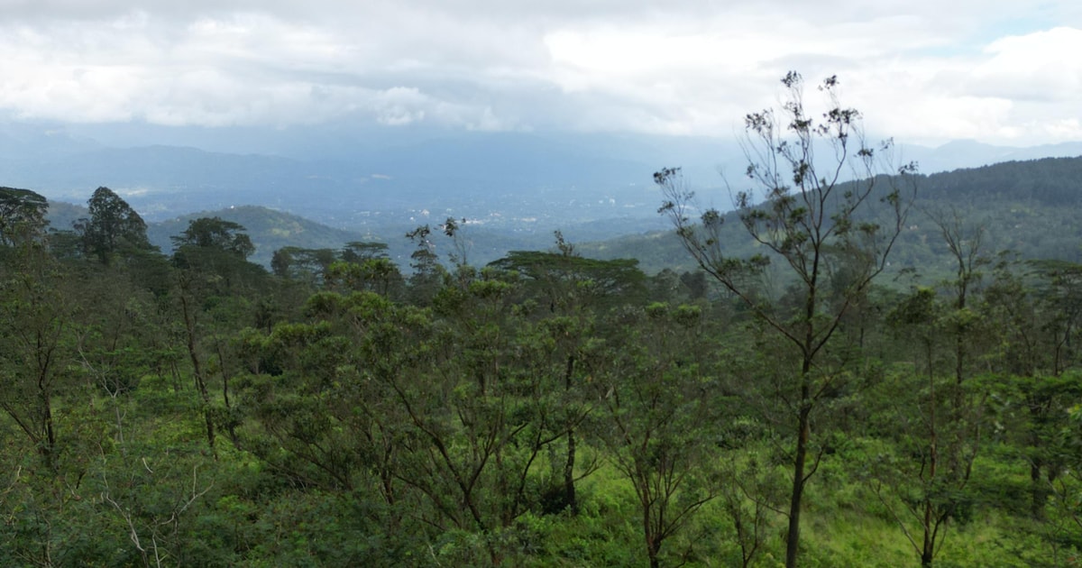 LOCATION: Hanthana to Galaha Pekoe Trail Stage 01 Trek | GetYourGuide