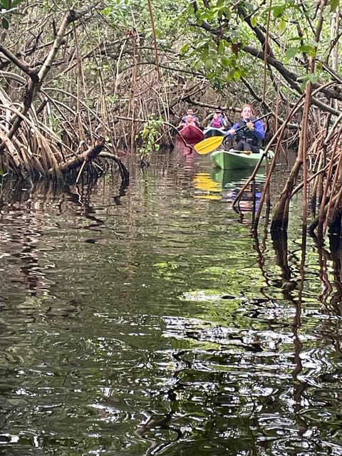 Everglades Kayak Eco Tour | GetYourGuide