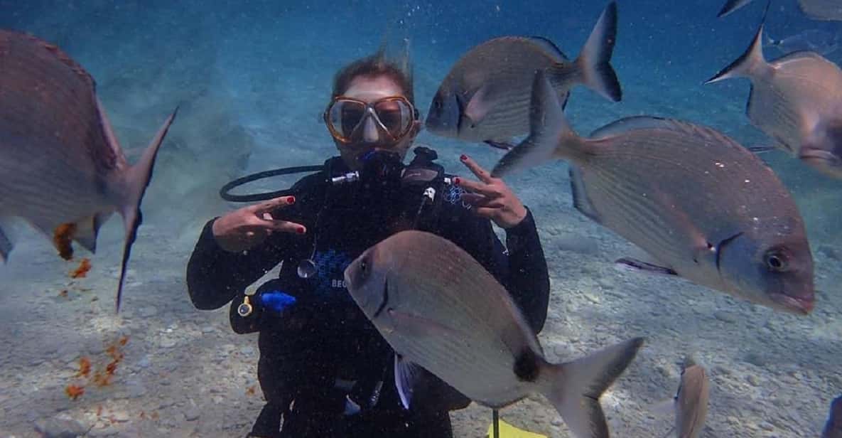 Pengalaman Selam Skuba Bodrum Dengan Makan Tengahari & Pemindahan Pergi ...