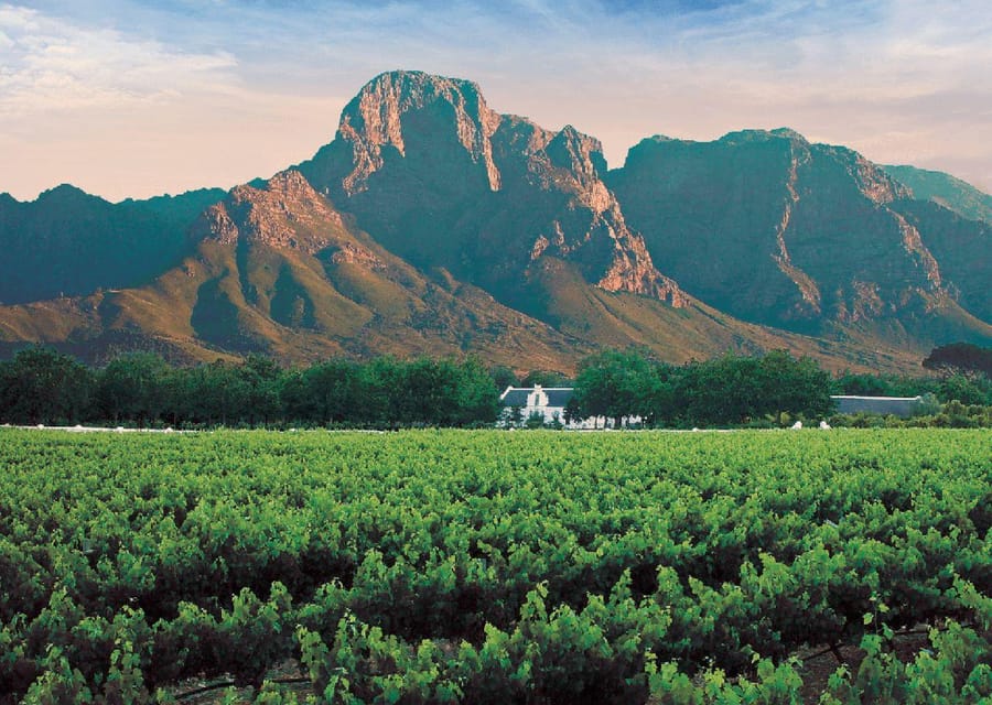 Cape Town Wine Tour: Full Day | GetYourGuide