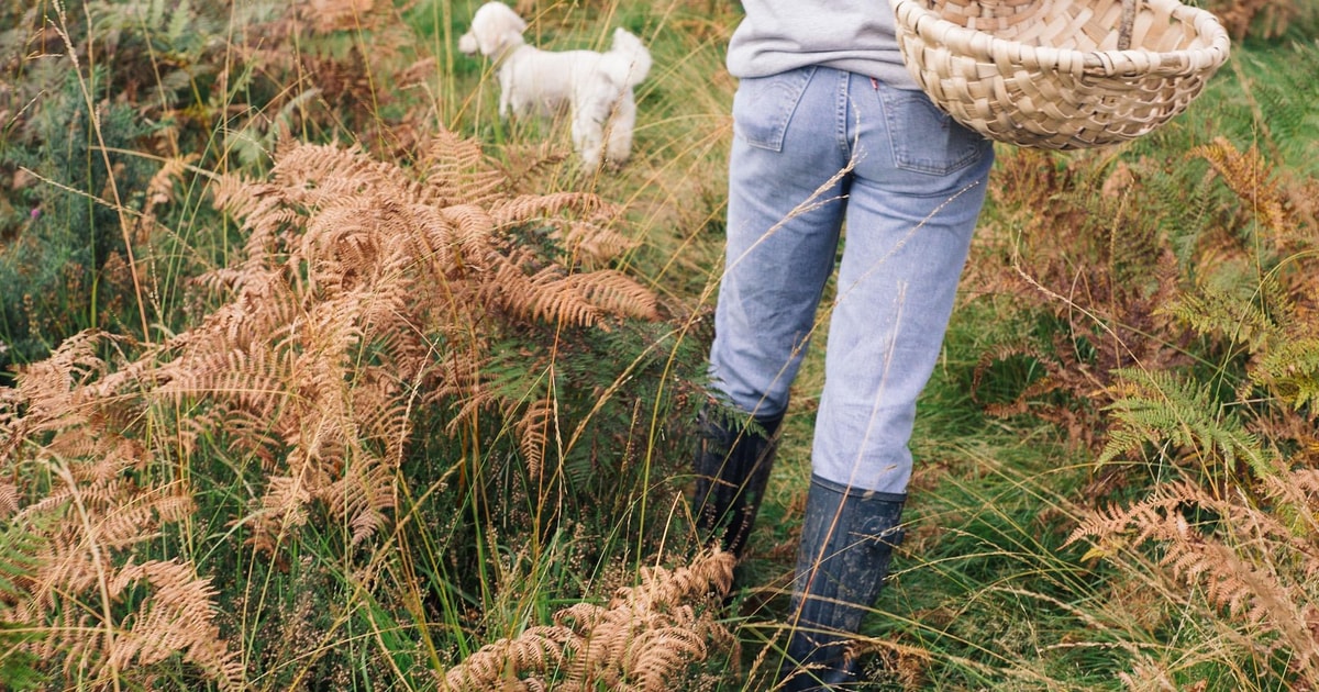 Beginner Foraging Walk: Wild food walking tour & tasters | GetYourGuide