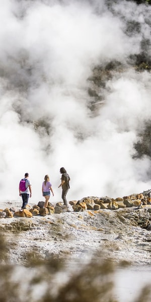 Rotorua: Hell's Gate Geothermal Walk | GetYourGuide