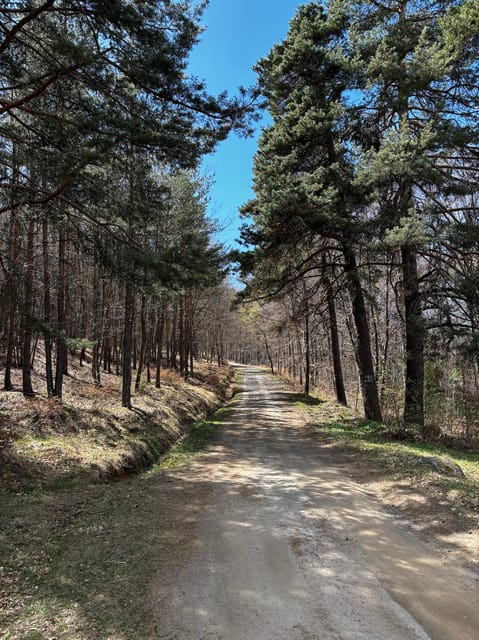 Excursión de un día en Sofía al refugio Tsari Mali Grad vs Belchinski ...