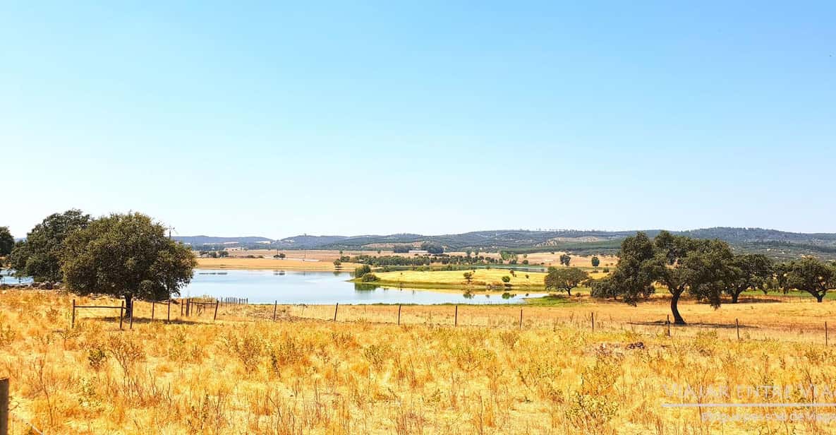 Évora: Full Day Visit | GetYourGuide