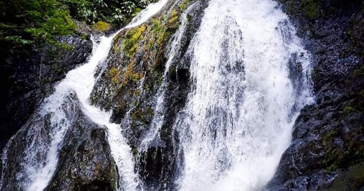 Jaco: Waterfall Rappelling & Jungle Tractor Tour | GetYourGuide