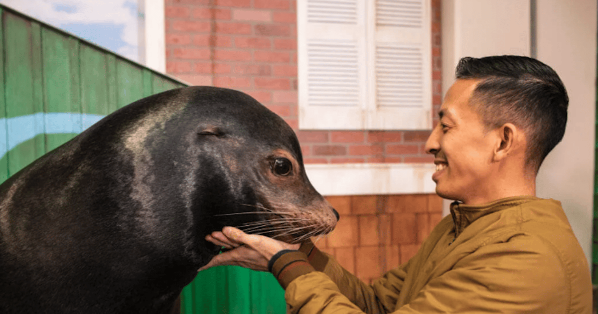 Acuario de Georgia: Encuentro con leones marinos | GetYourGuide