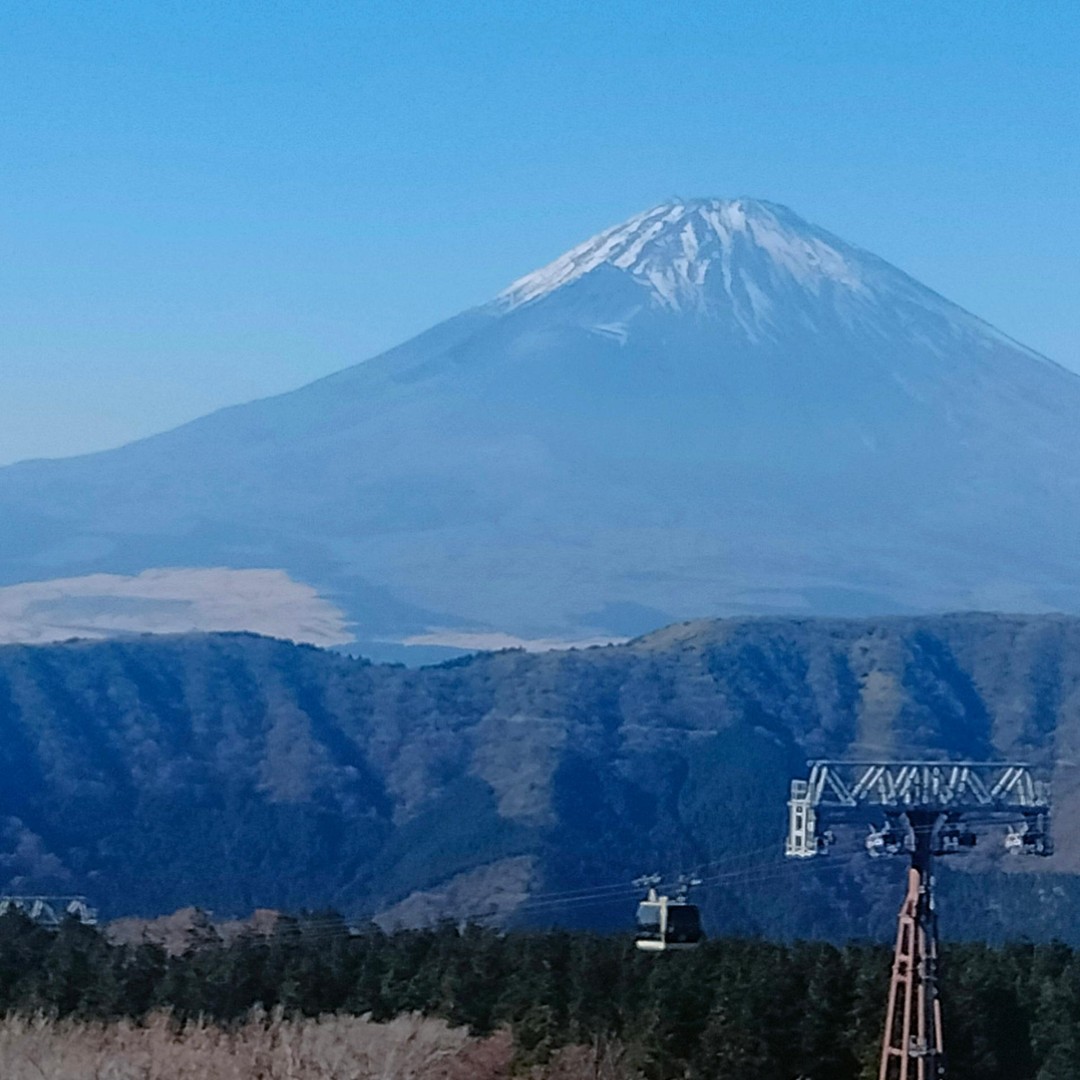 Tokyo-Kamakura-Hakone-Mt.Fuji-Nara-Kyoto-Osaka: 3-Day Tour | GetYourGuide